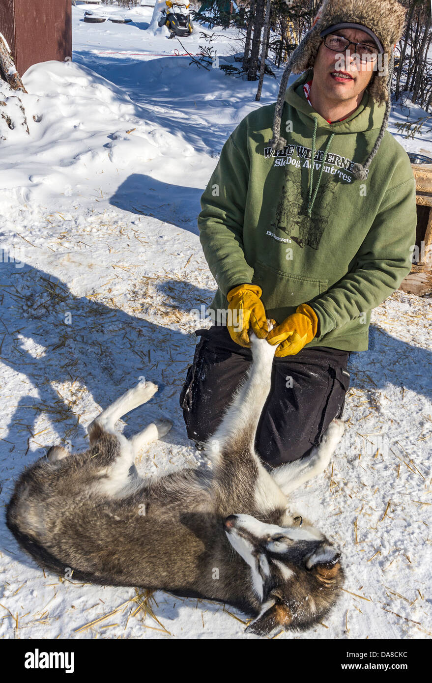Owner and dog racer David Daley demonstrates how he stretches his dogs ...
