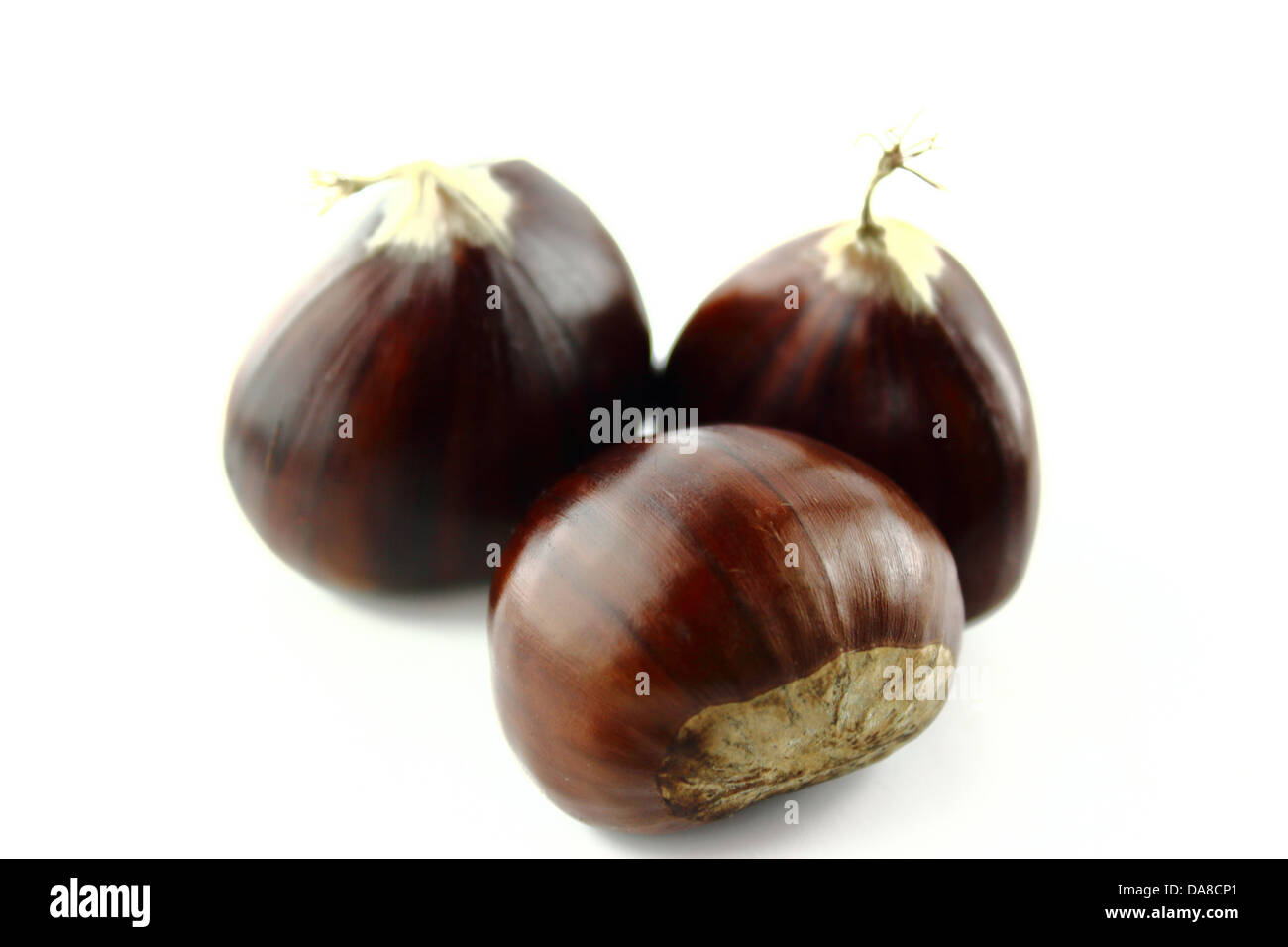 Sweet chestnuts on white background Stock Photo - Alamy