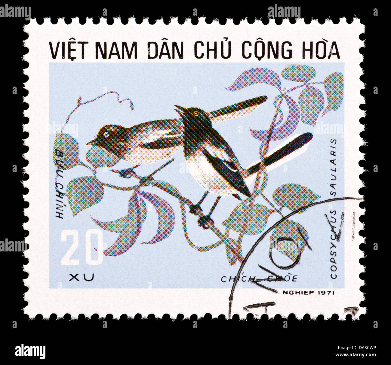 Postage stamp from Vietnam depicting Oriental Magpie-Robin (Capsychus ...