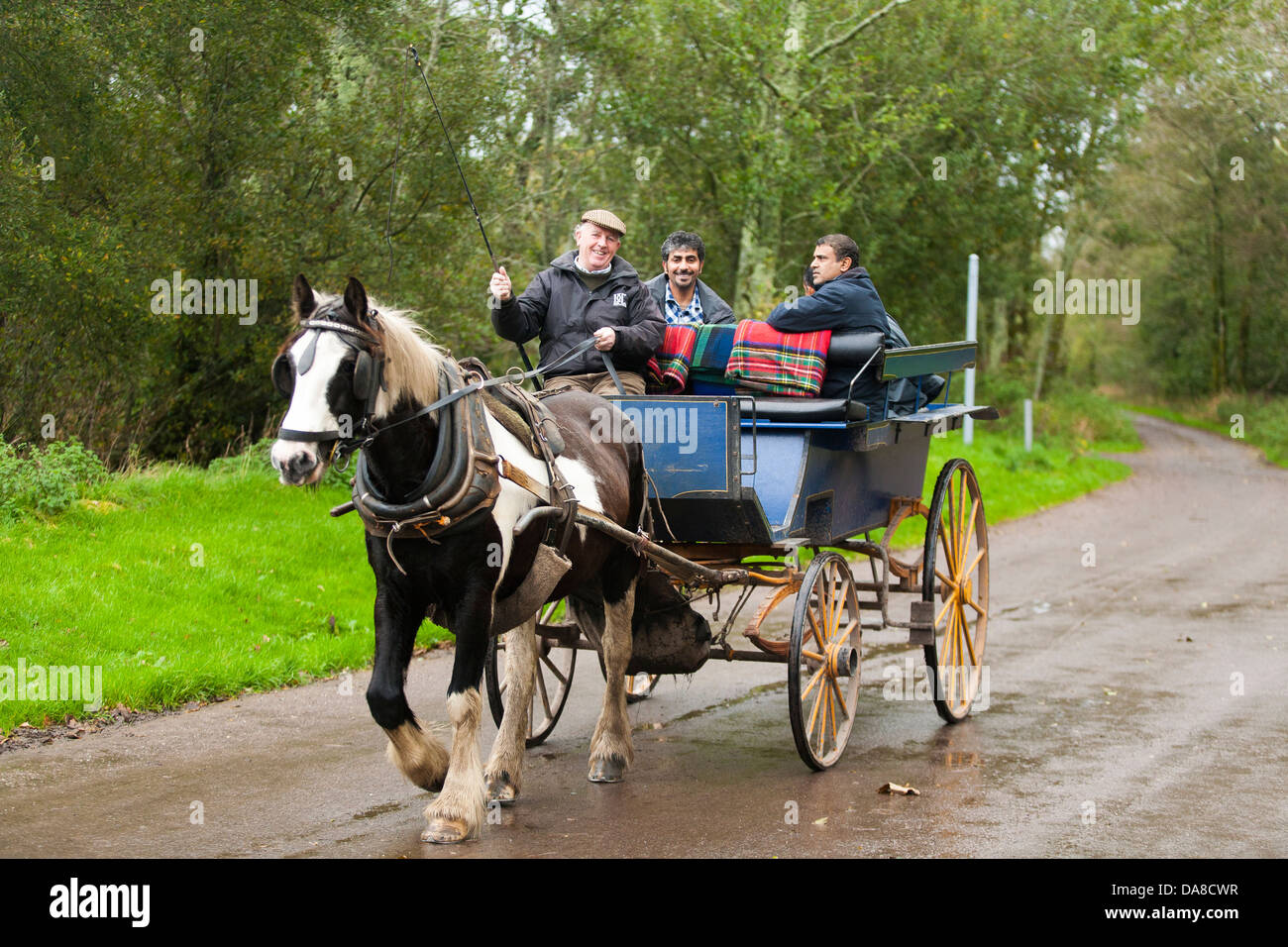 A horse and carriage on a jaunting tour around Lough Leane close to ...