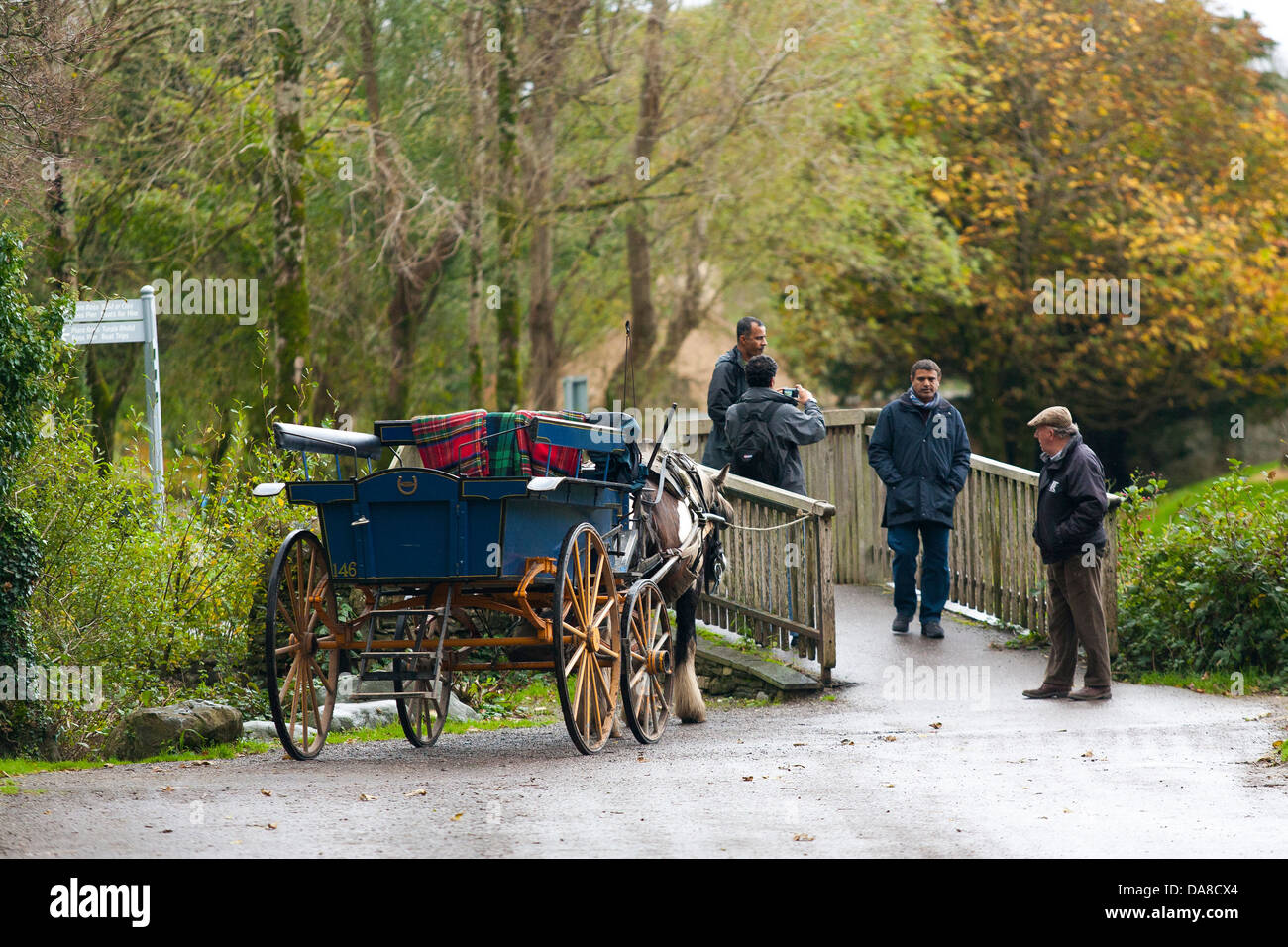 A horse and carriage on a jaunting tour around Lough Leane close to ...