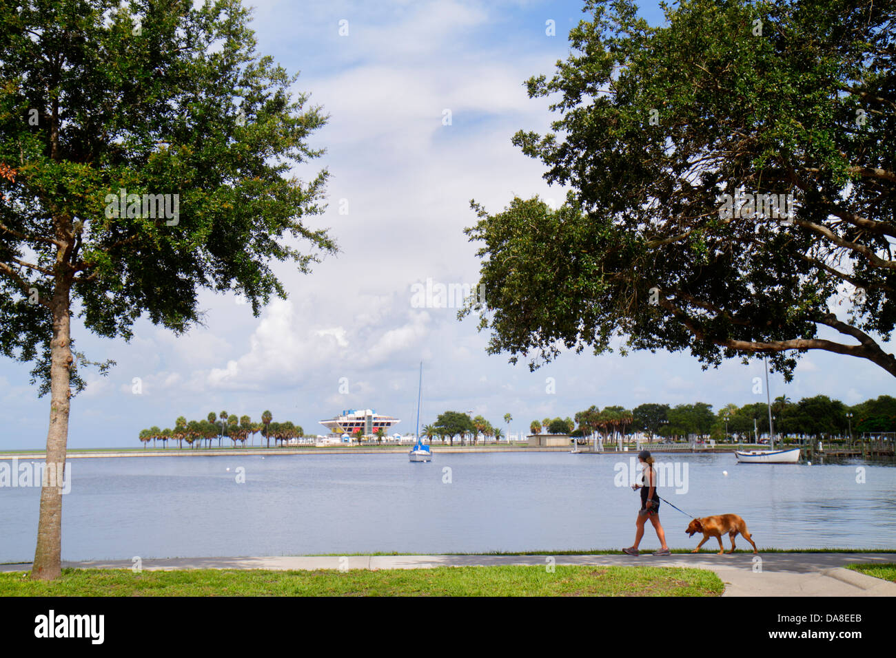 Florida Saint St. Petersburg,North Straub Park,The Pier,Tampa Bay water ...