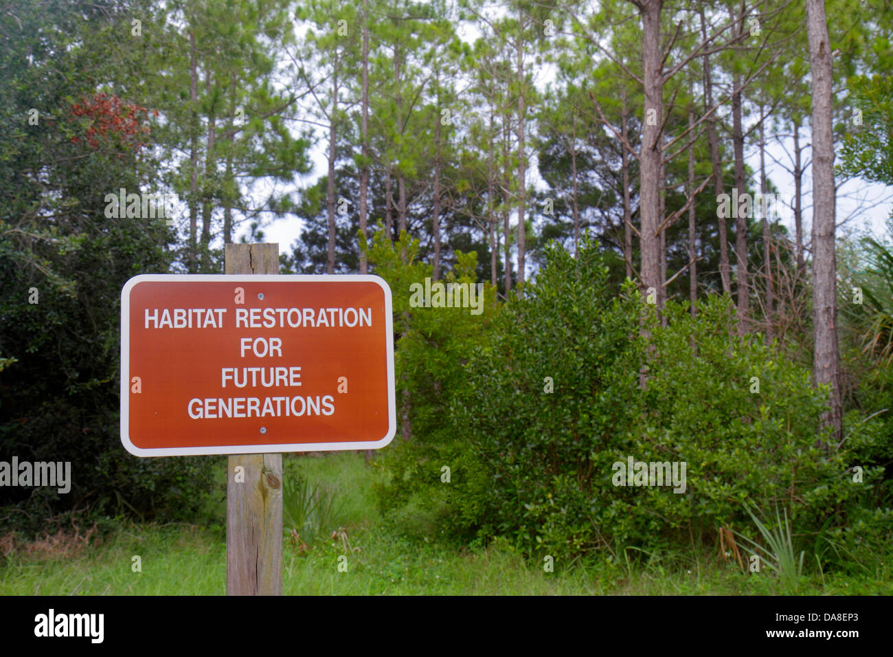 Florida Clearwater Beach,Sand Key Park,sign,logo,habitat restoration ...