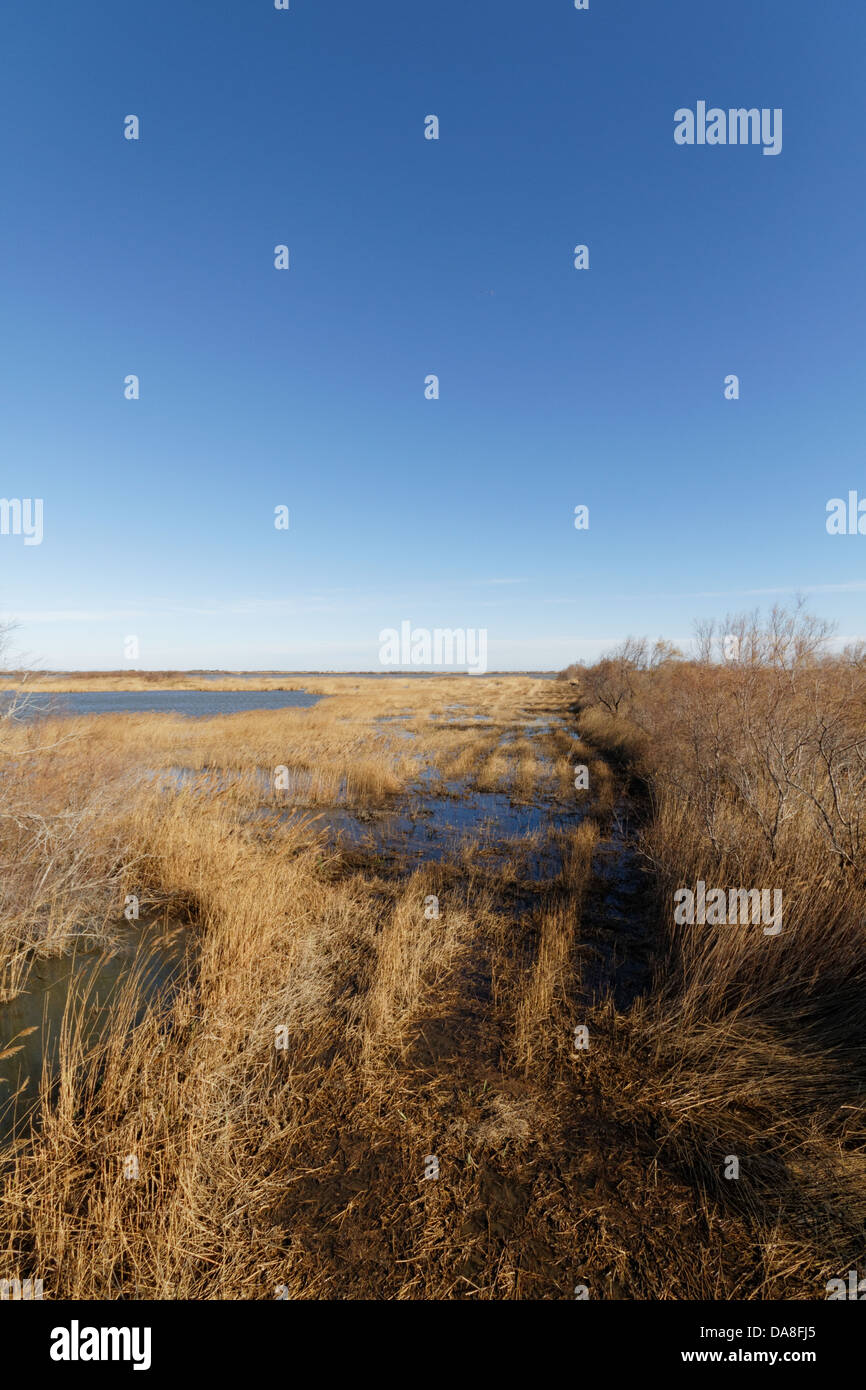 Marsh, les saintes maries de la mer, france Stock Photo - Alamy