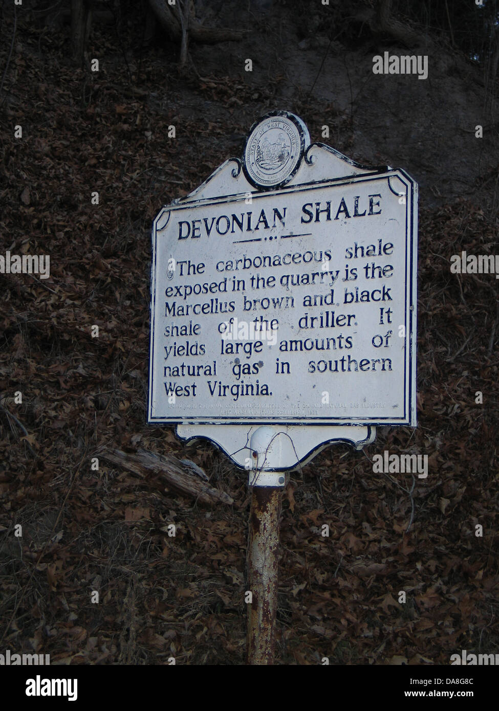 DEVONIAN SHALE The carbonaceous shale exposed in the quarry is the ...