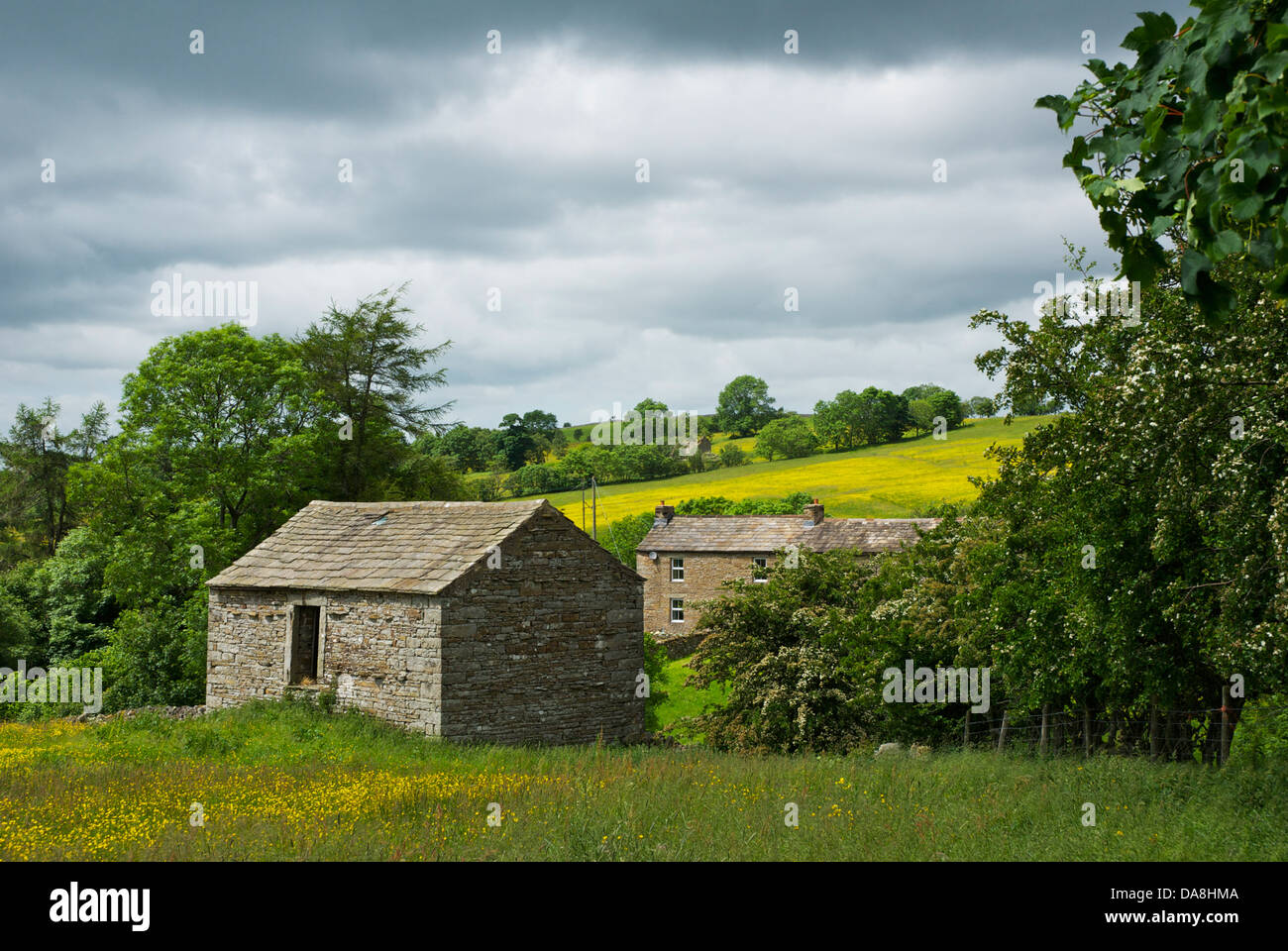 Field barn and farmhouse in North Stainmore, Cumbria, England UK Stock ...