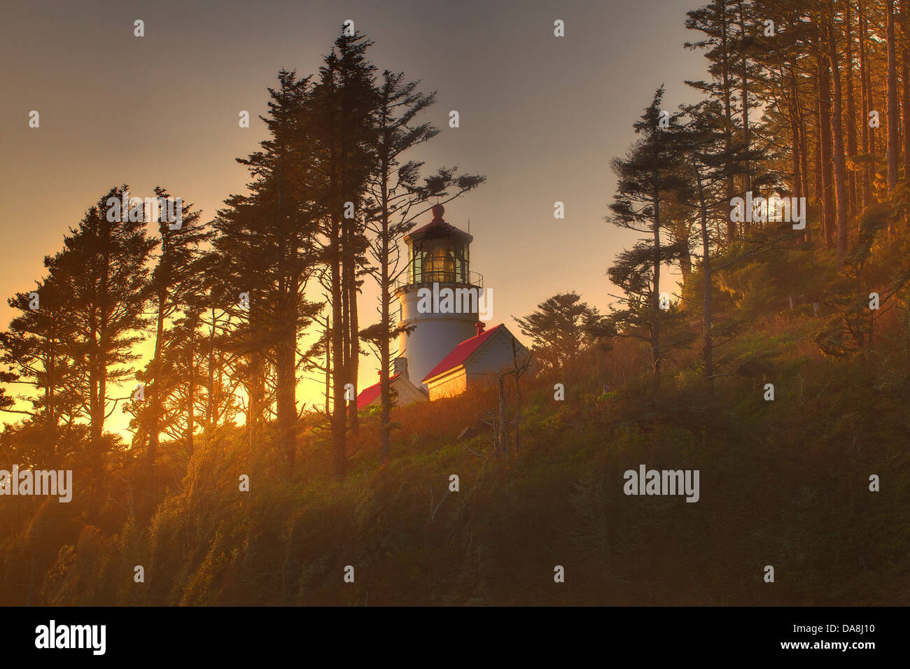 Florence oregon beach hi-res stock photography and images - Alamy