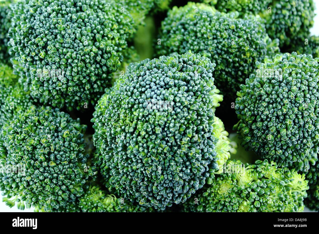 Fresh broccoli in closeup Stock Photo - Alamy