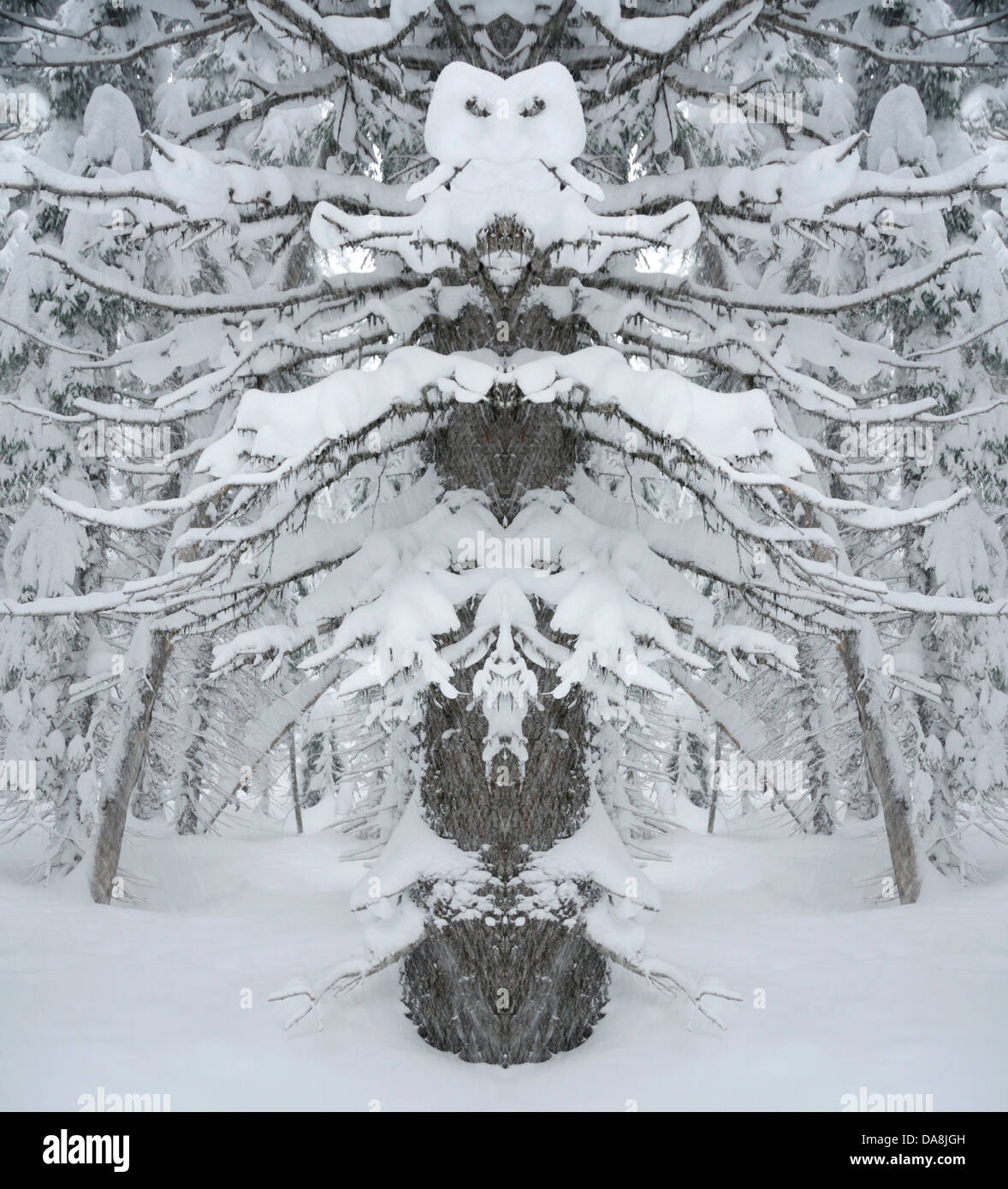 Deschutes national forest snow hi-res stock photography and images - Alamy