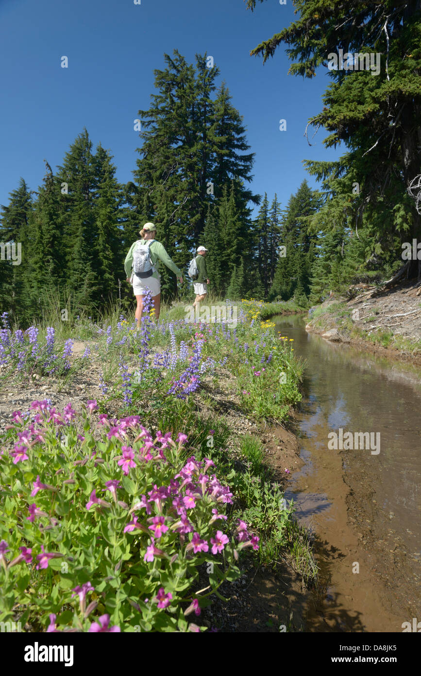 Three sisters wilderness hi-res stock photography and images - Alamy