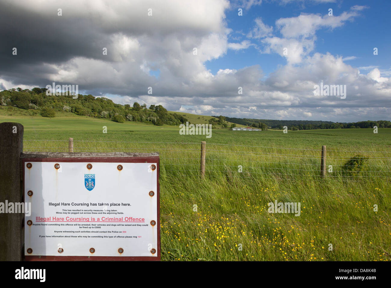 Hare Coursing Sign High Resolution Stock Photography and Images - Alamy