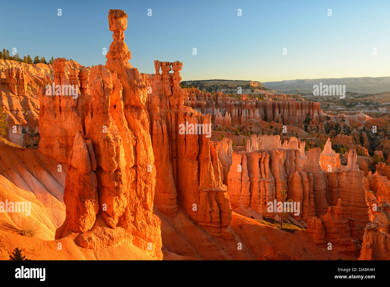 USA, United States, America, Utah, Canyon, North America, four corners ...