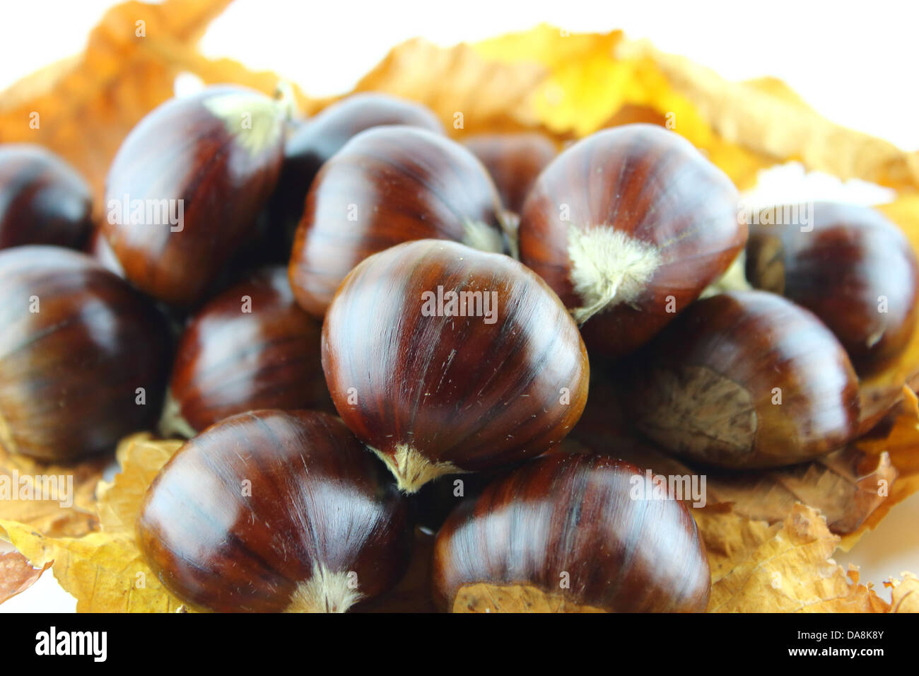 Sweet chestnuts with leaves on white background Stock Photo - Alamy