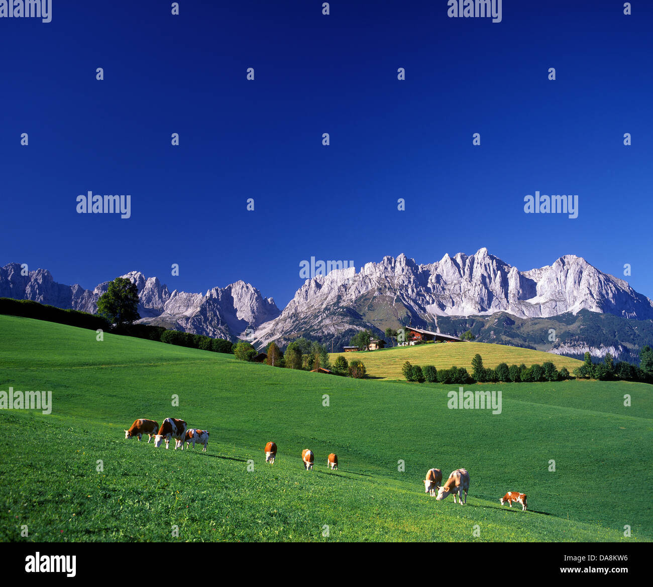 Austria, Europe, Tyrol, Going, Wilder Kaiser, Kaiser, Ellmauer Halt ...