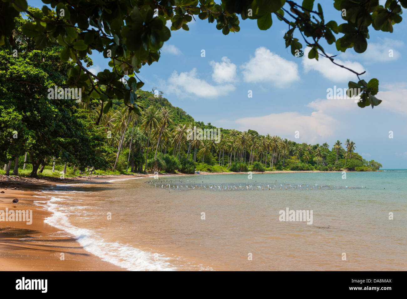 Raw secluded beach on Rabbit island off Kep - Kep Province, Cambodia ...