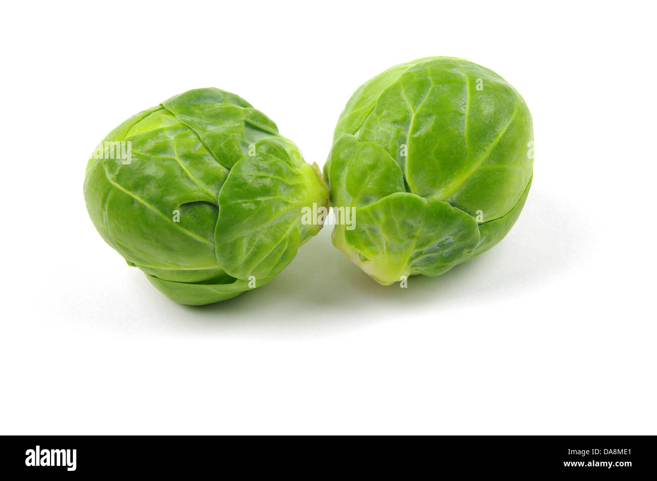 two brussel sprouts on a white background Stock Photo - Alamy