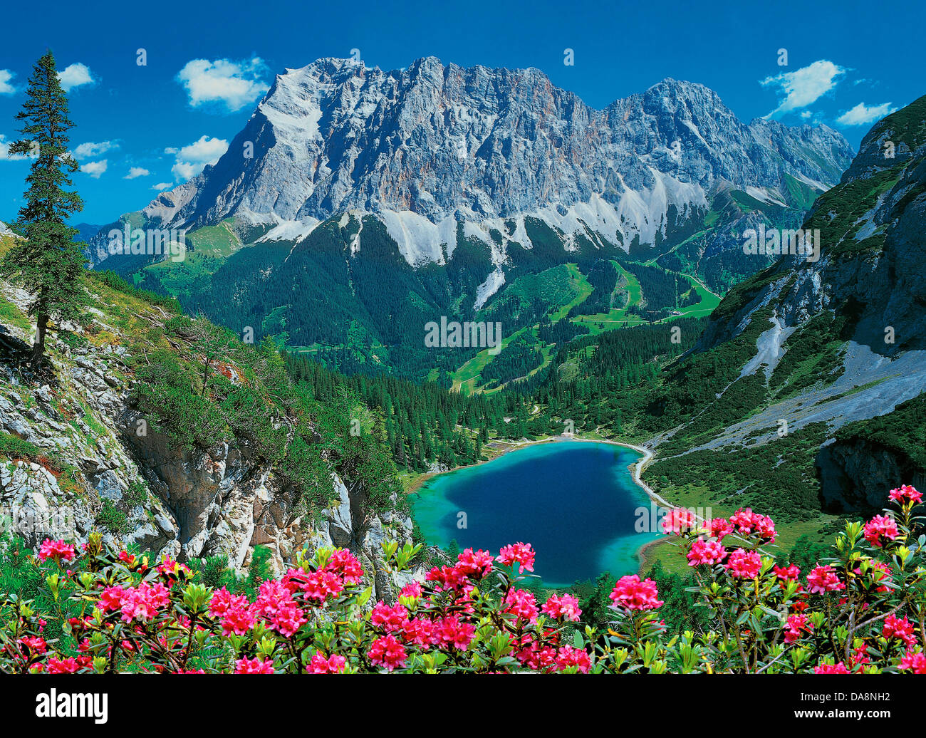 Austria, Europe, Tyrol, Ausserfern, Ehrwald, Alp, Seebensee, Zugspitze ...