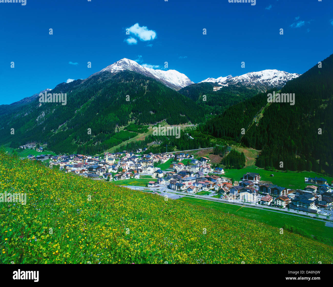 Austria, Europe, Tyrol, Paznaun, Ischgl, summer, meadow, flower meadow ...