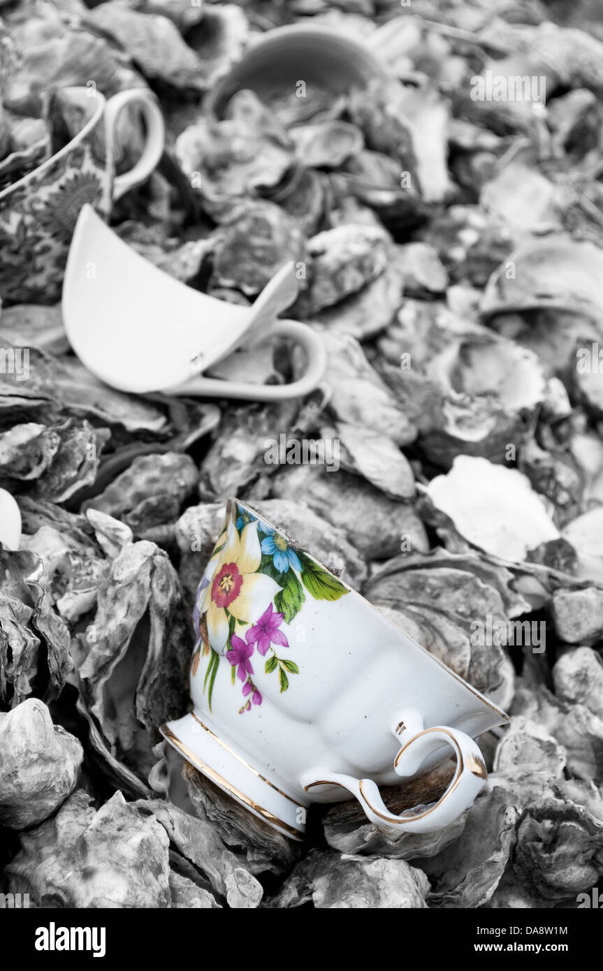 Floral cups and oyster shells Stock Photo - Alamy