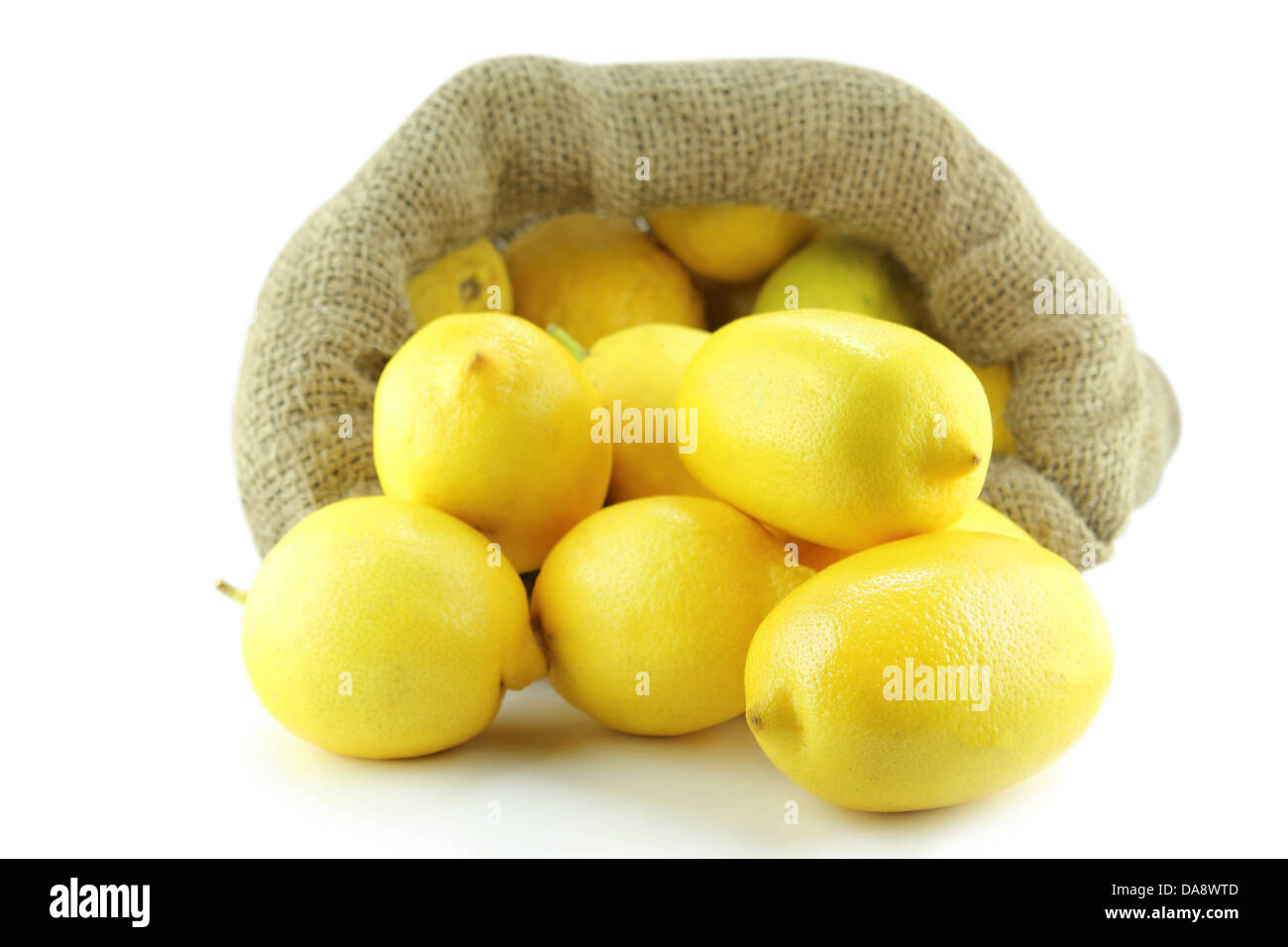 yellow ripe lemon out of Sackcloth bag over the orange background with ...