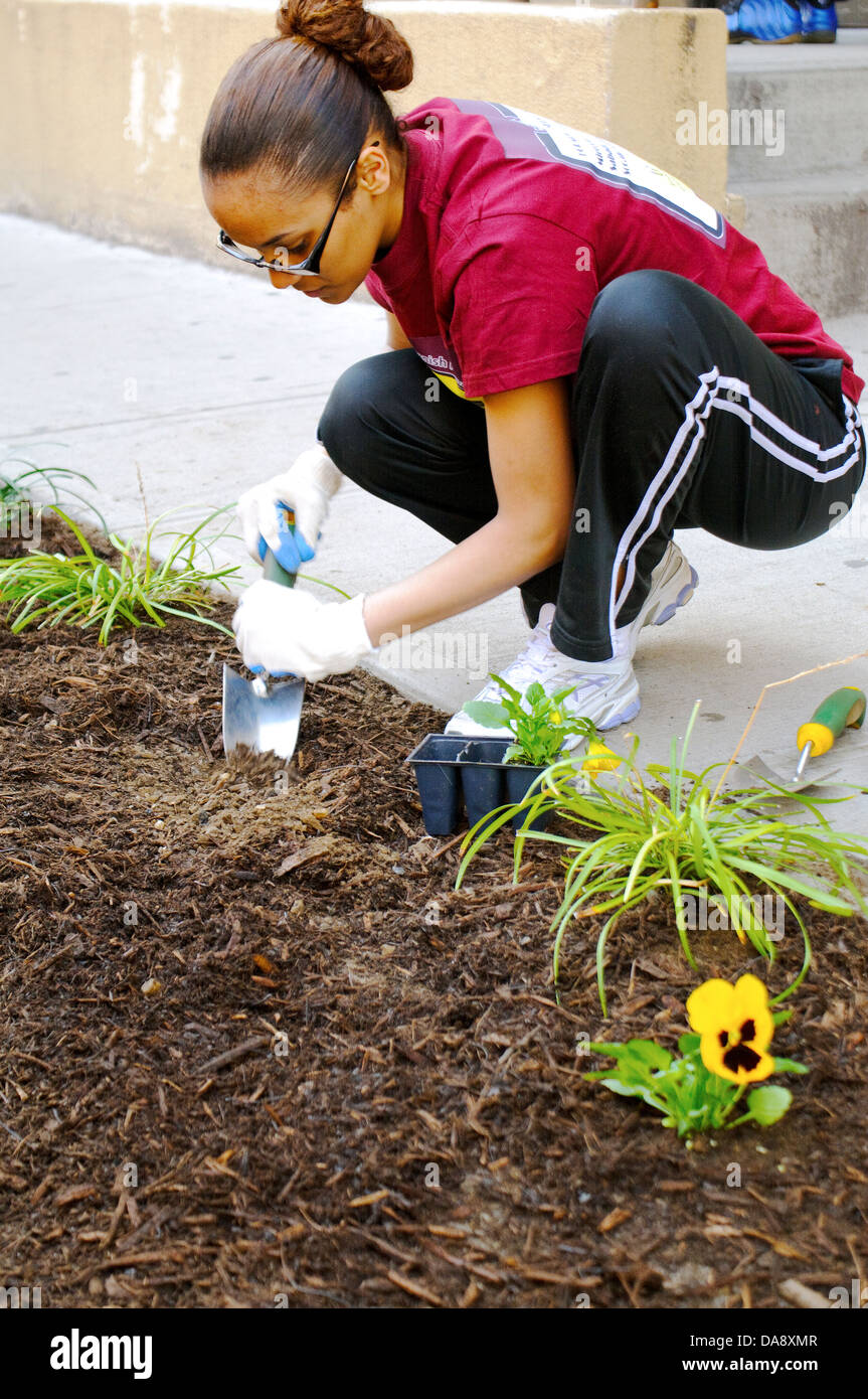 Hispanic community service volunteers Stock Photo - Alamy