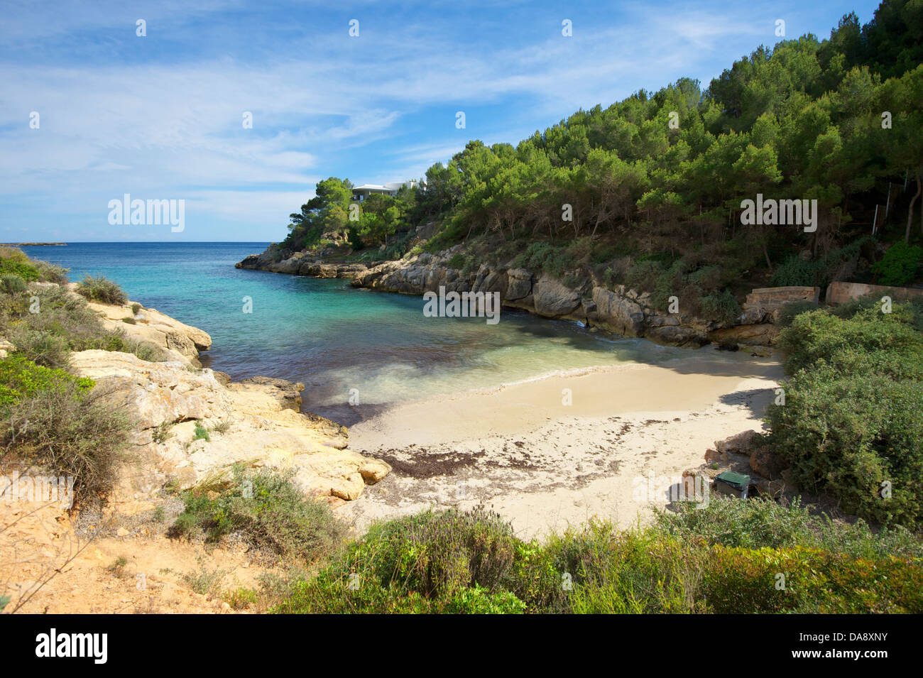 Cala bella dona hi-res stock photography and images - Alamy