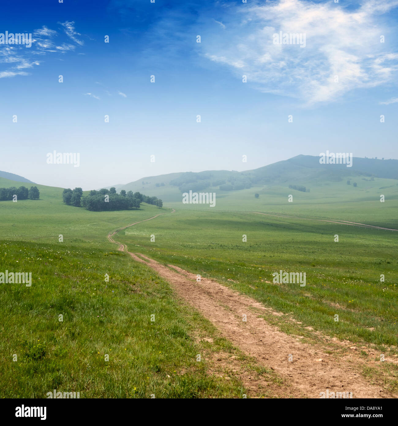 Bright grass and blue sky. Spring composition Stock Photo - Alamy