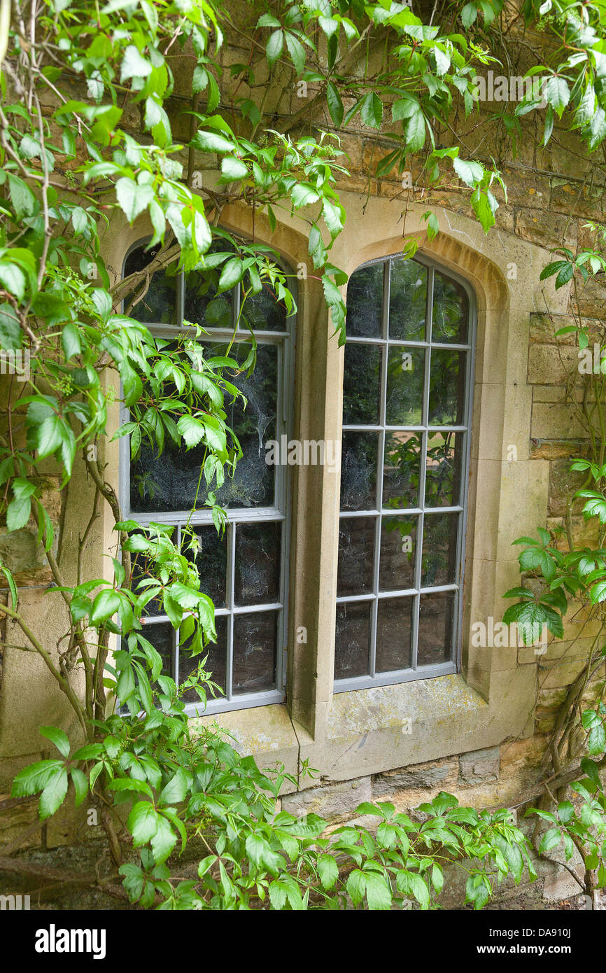 Overgrown vine hi-res stock photography and images - Alamy