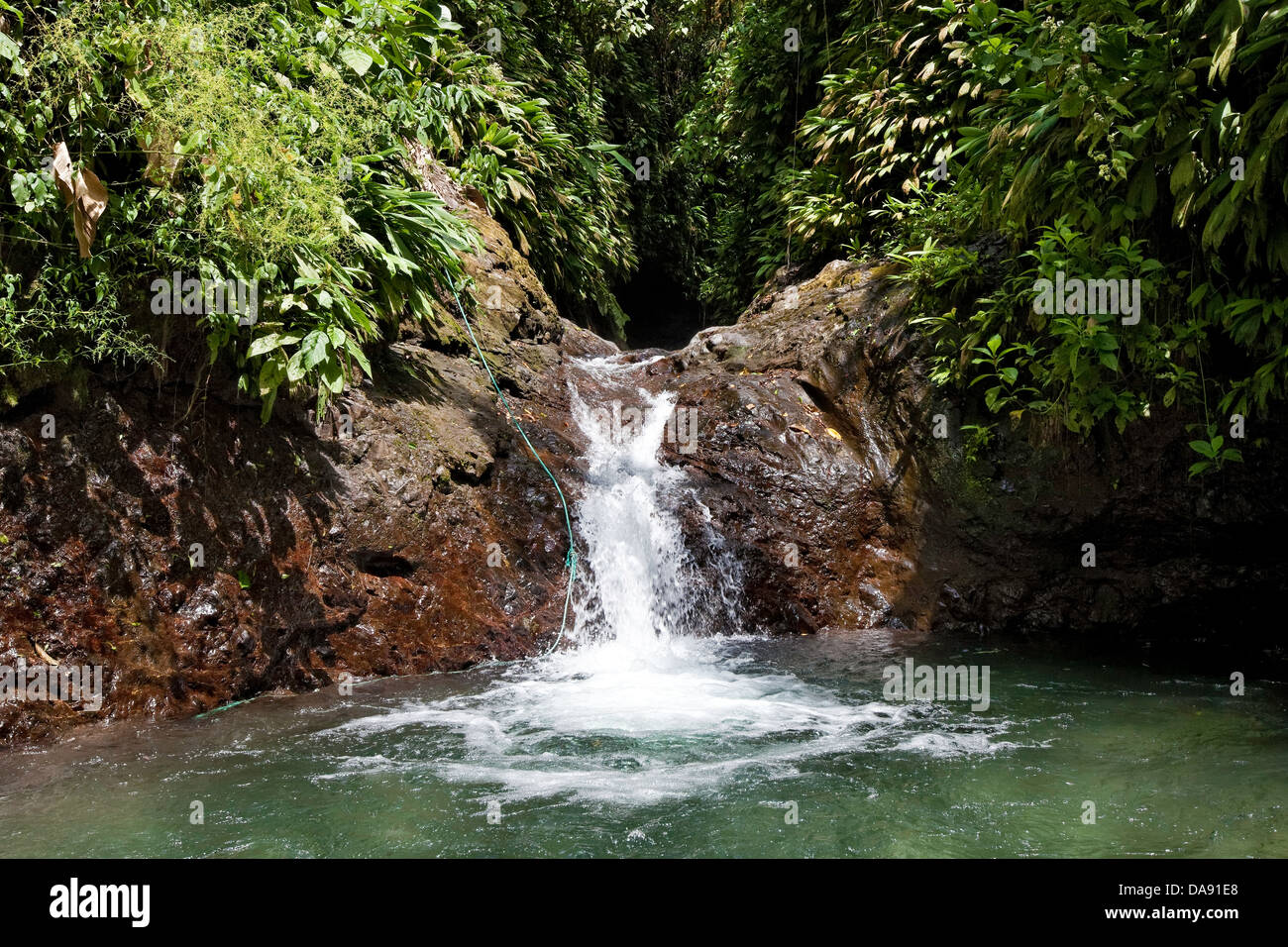 Swimming hole, Rainmaker Conservation Project, Costa Rica Stock Photo ...