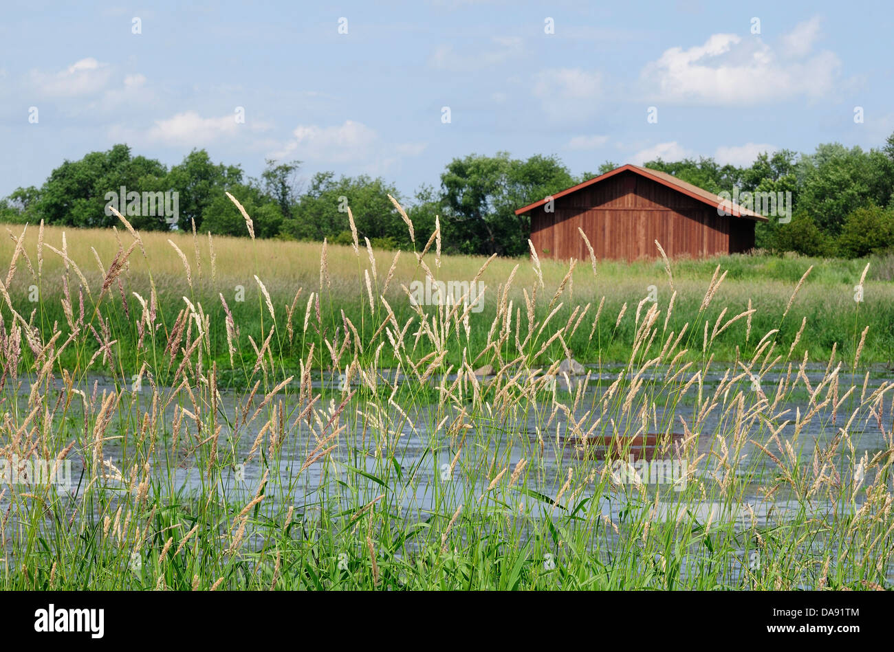 Rural farmland and marsh with new barn Stock Photo - Alamy