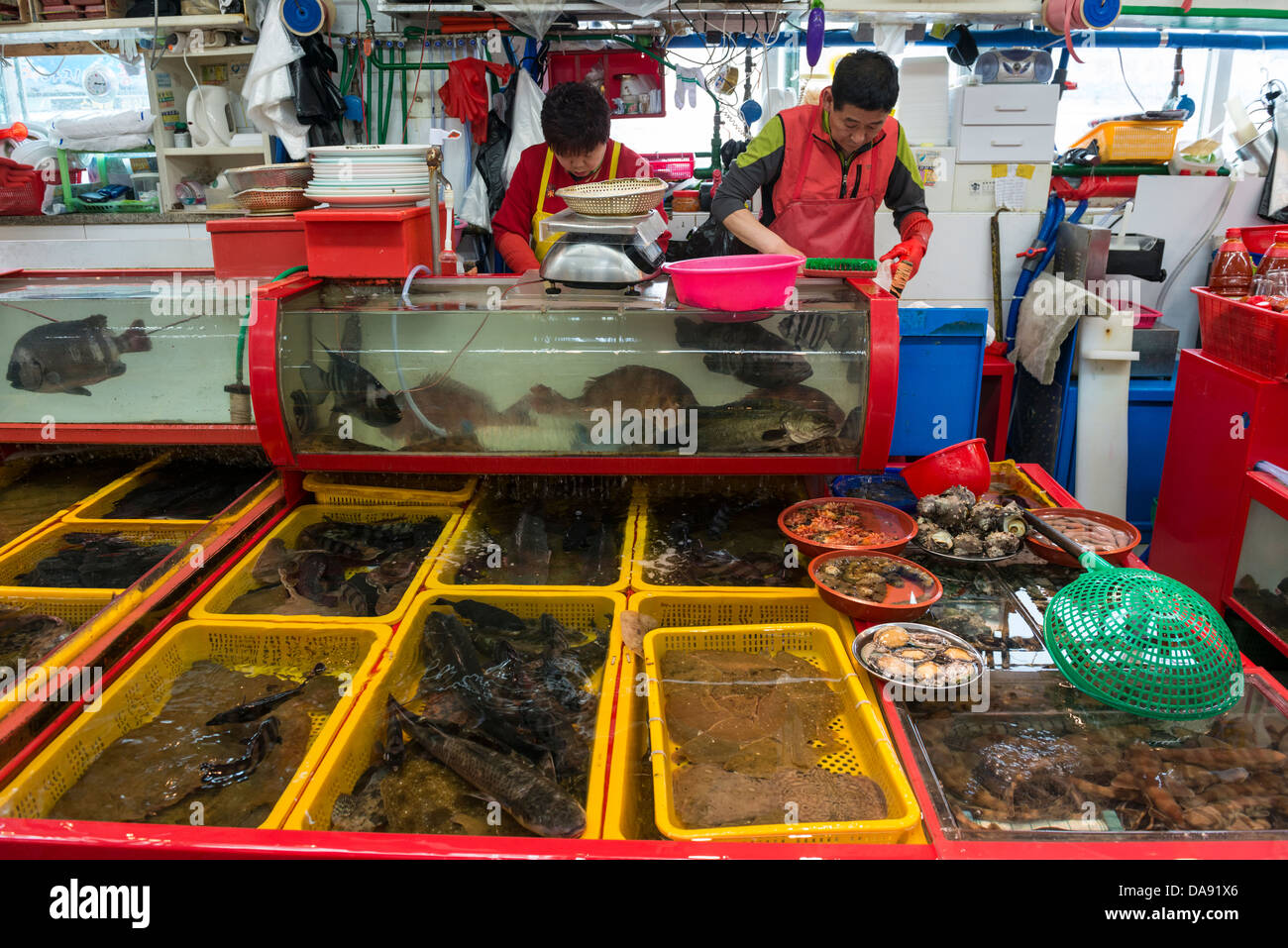 Jagalchi Fish Market, Busan, South Korea Stock Photo - Alamy