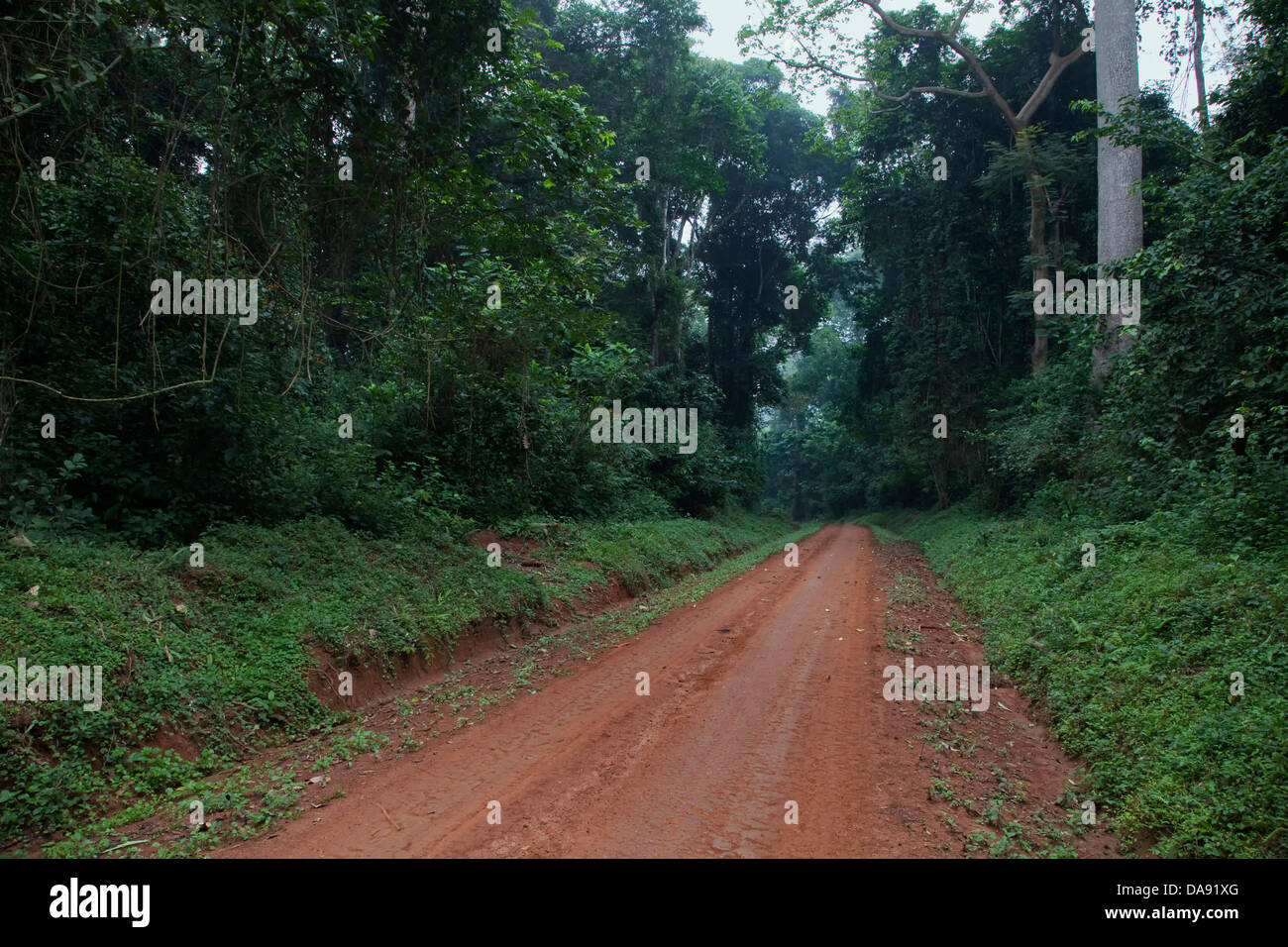 Africa, Uganda, East Africa, black continent, pearl of Africa, Great ...