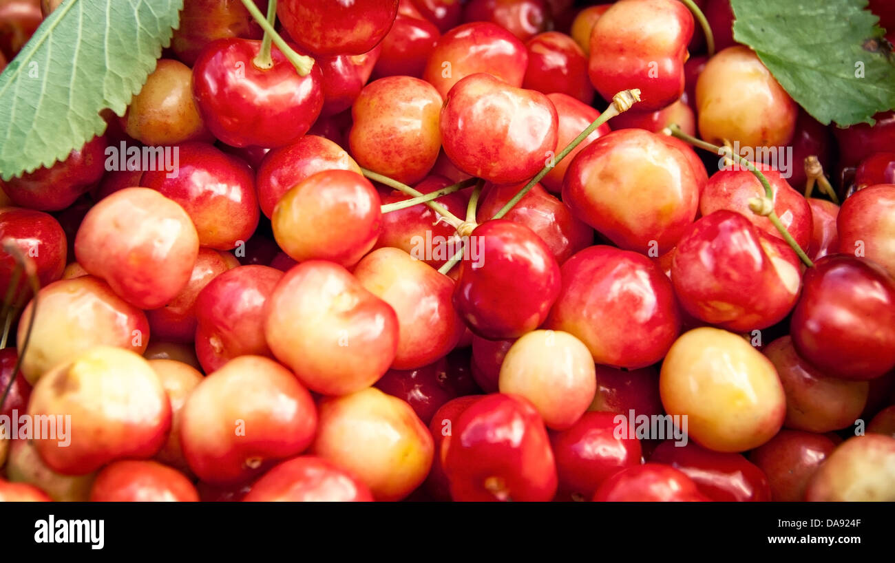 Seamless texture of sweet cherries Stock Photo - Alamy