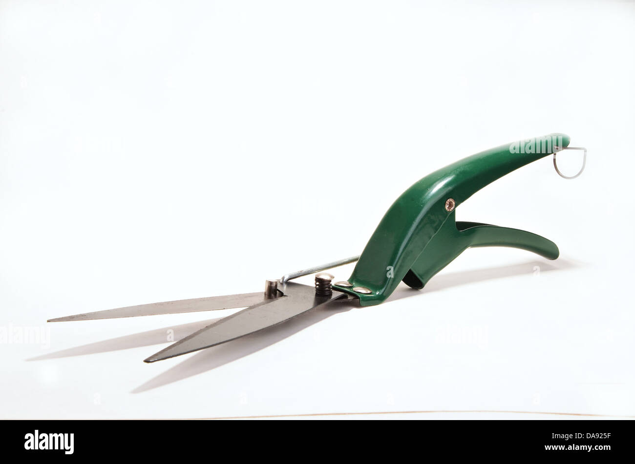 A pair of new green grass shears sits on a plain white background Stock ...