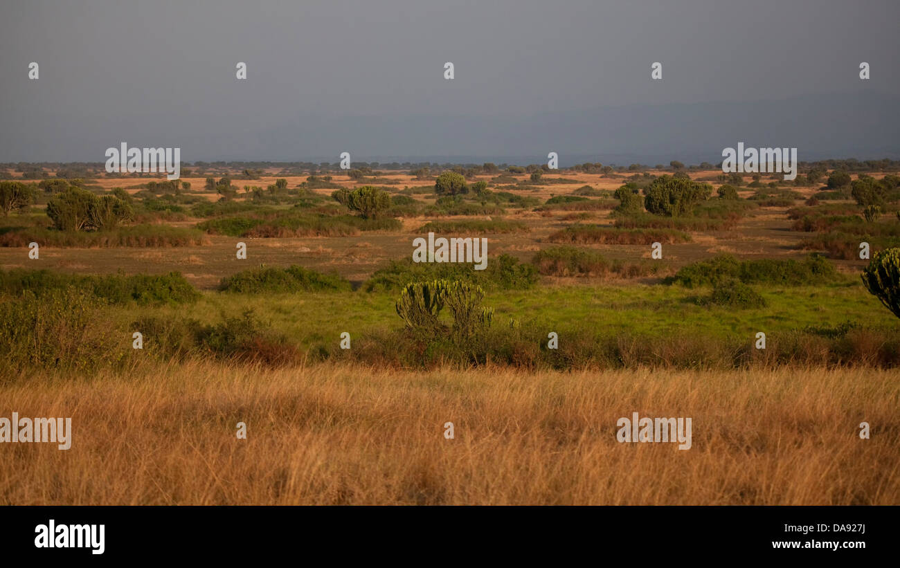 Africa, Uganda, East Africa, black continent, pearl of Africa, Great ...