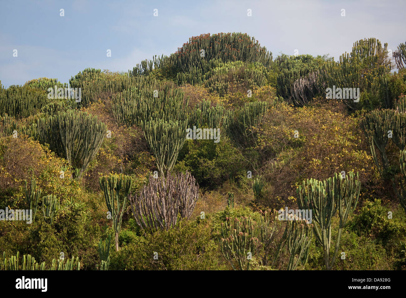 Africa, Uganda, East Africa, black continent, pearl of Africa, Great ...