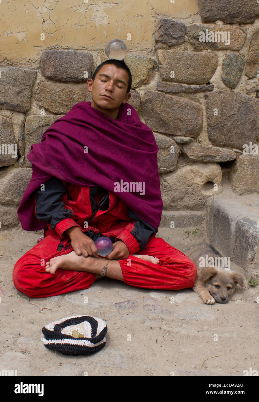 Portrait of a Buddhist Monk with Dog sitting cross legged against a ...