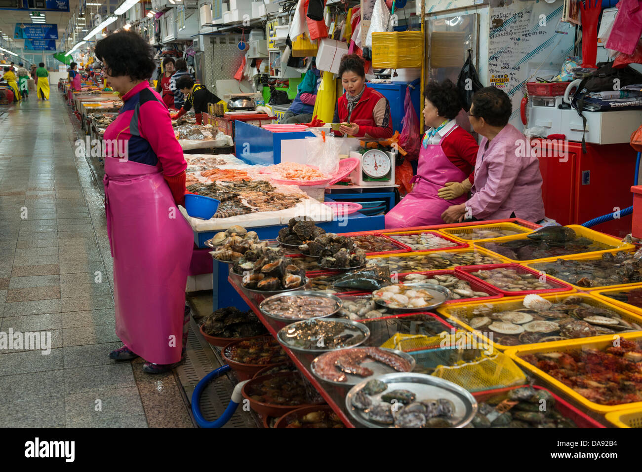 Jagalchi Fish Market, Busan, South Korea Stock Photo - Alamy