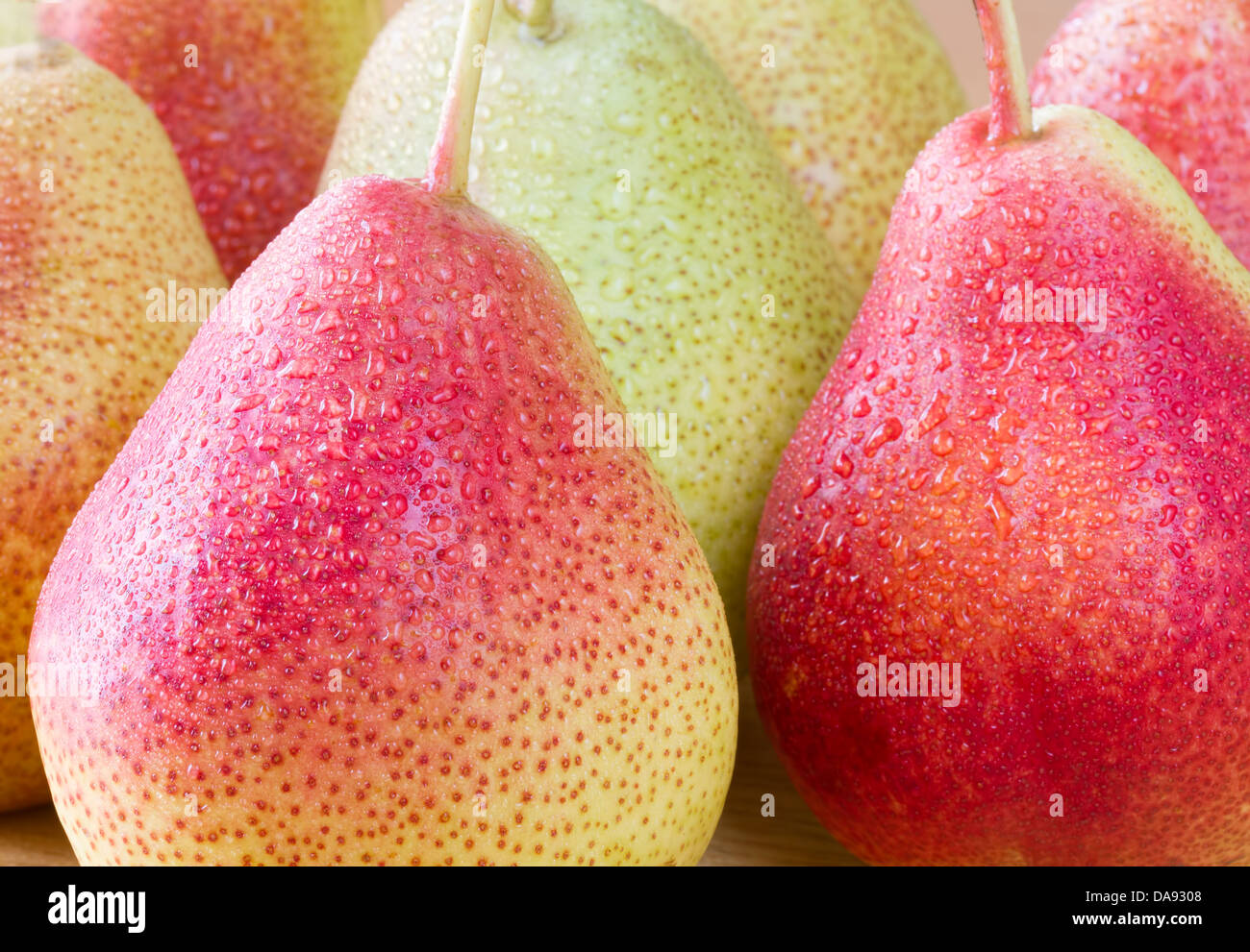 Close up image of forelle pears with water droplets Stock Photo - Alamy