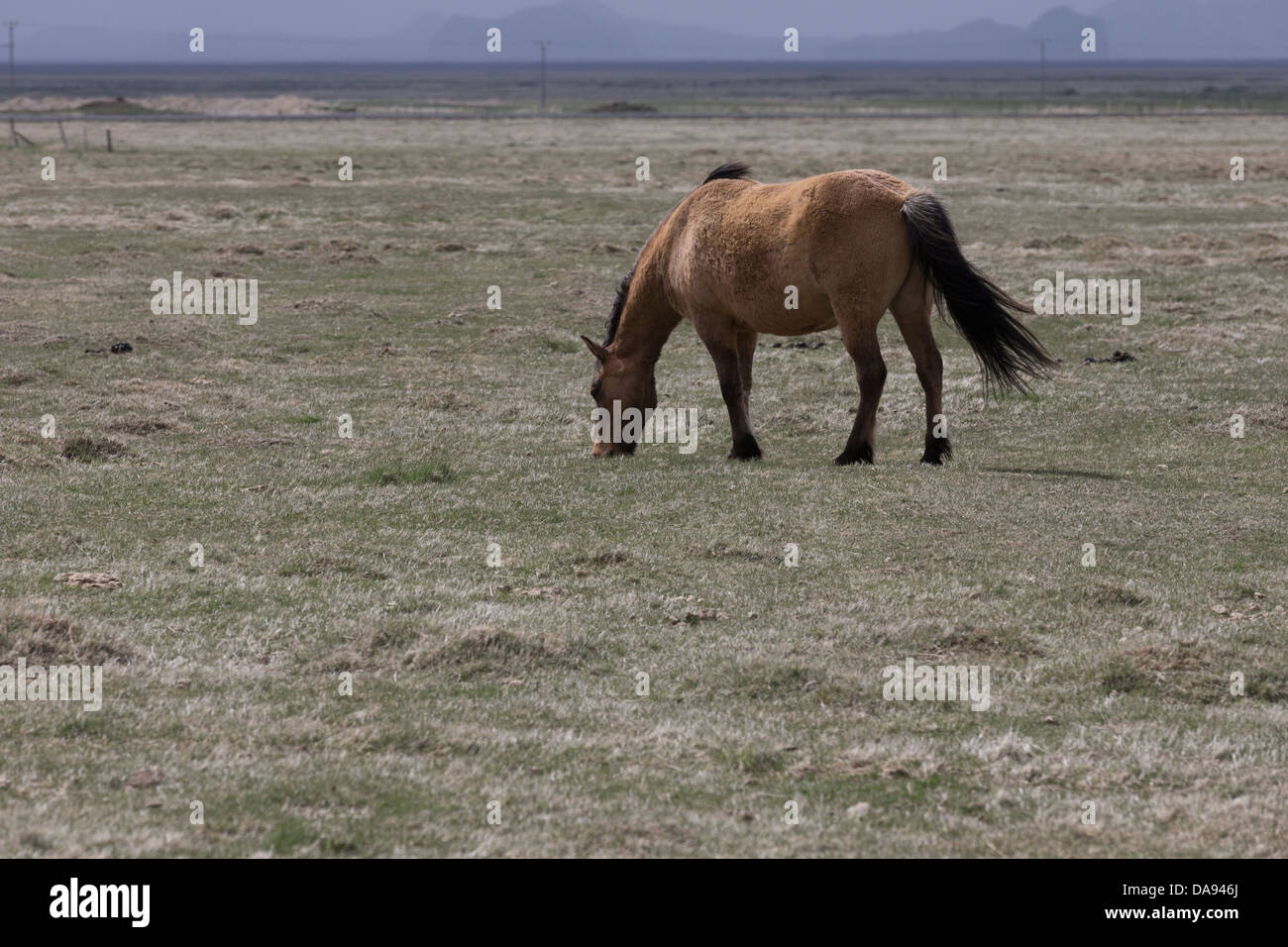 Iceland great country, beautiful nature Stock Photo - Alamy