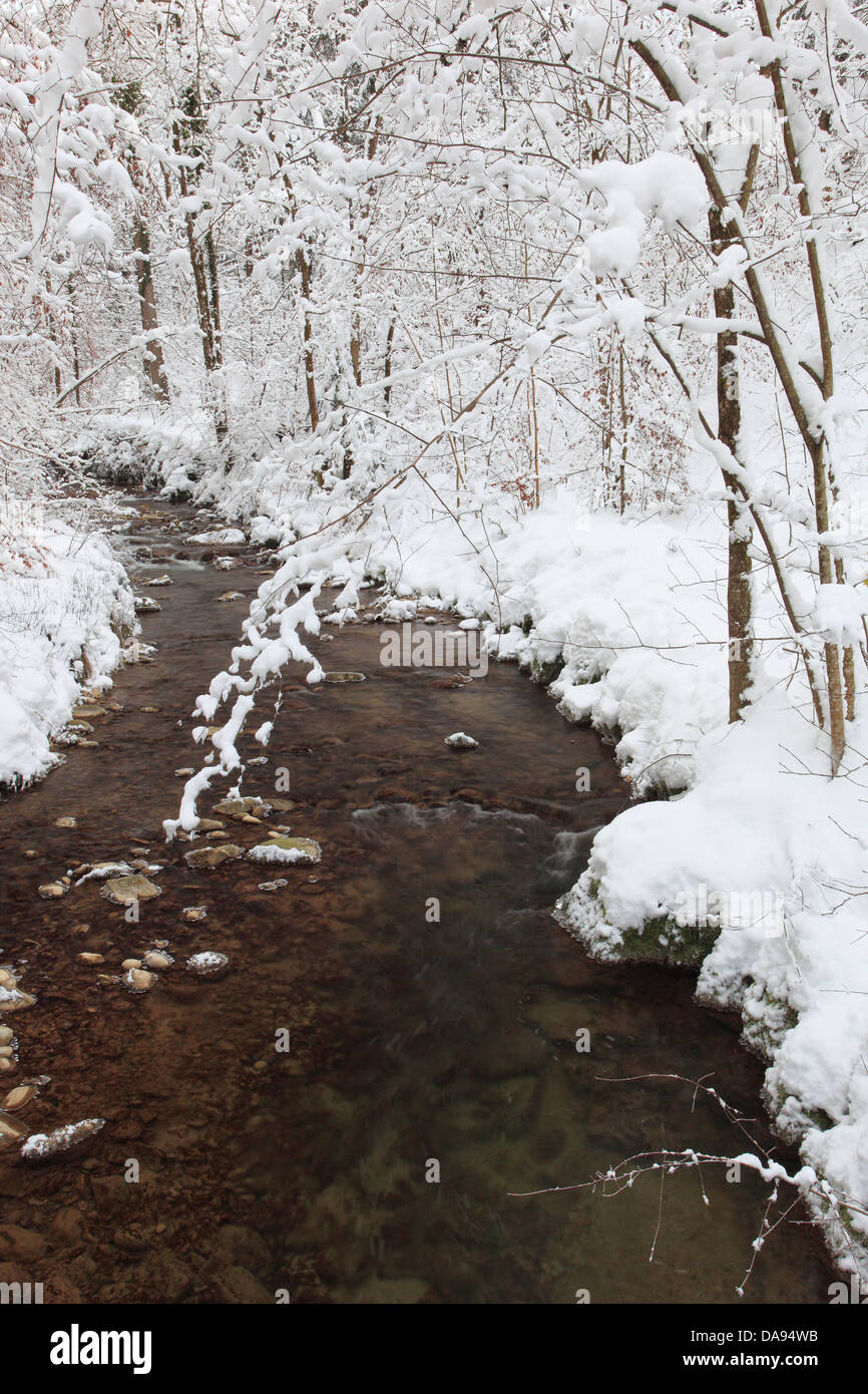 Stream with tree hi-res stock photography and images - Alamy