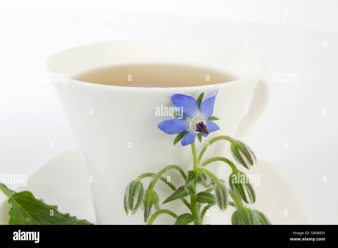Cup of borage tea hi-res stock photography and images - Alamy