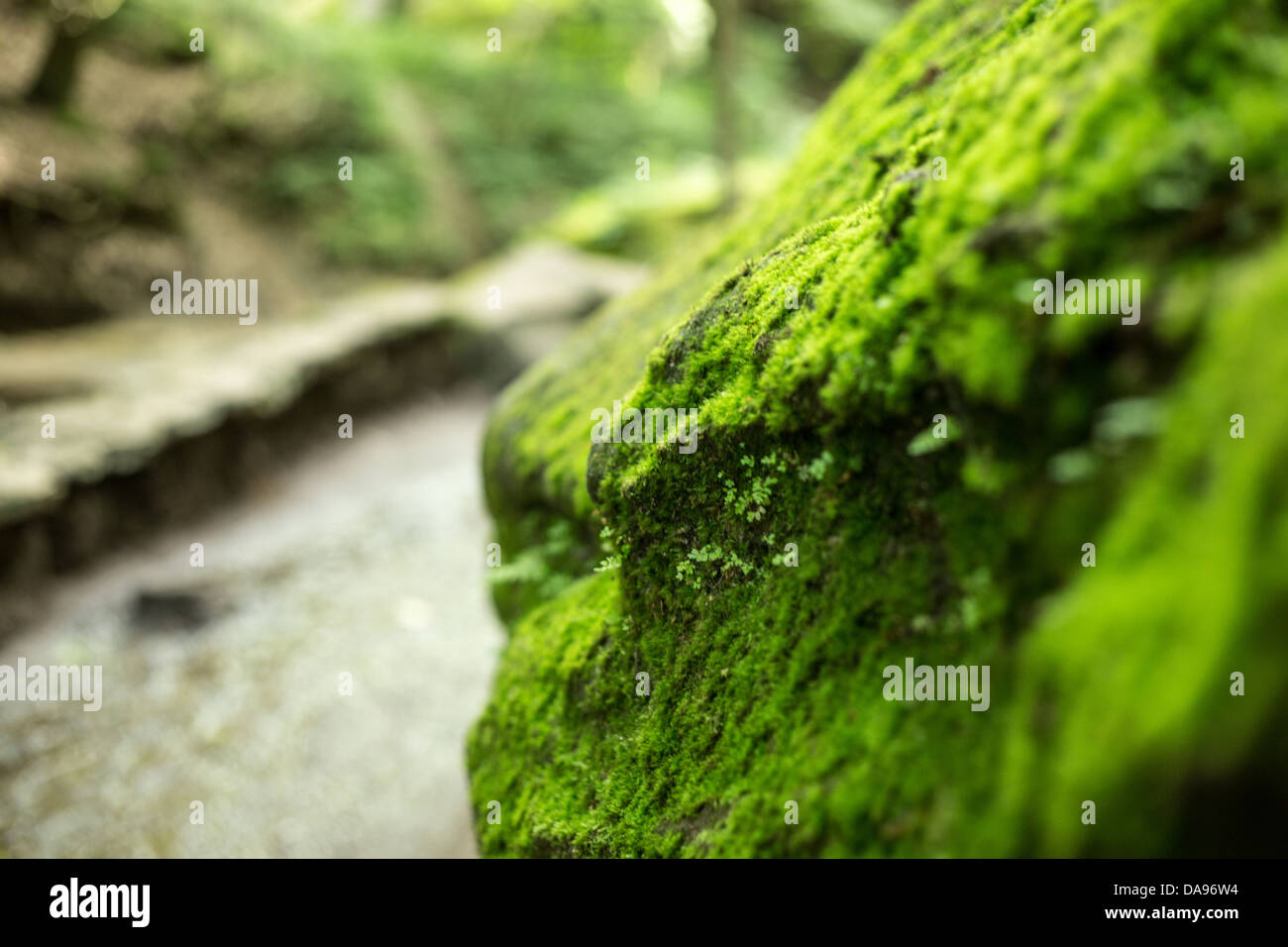 Old Man's Cave, Hocking HIlls State Park, Ohio Stock Photo - Alamy