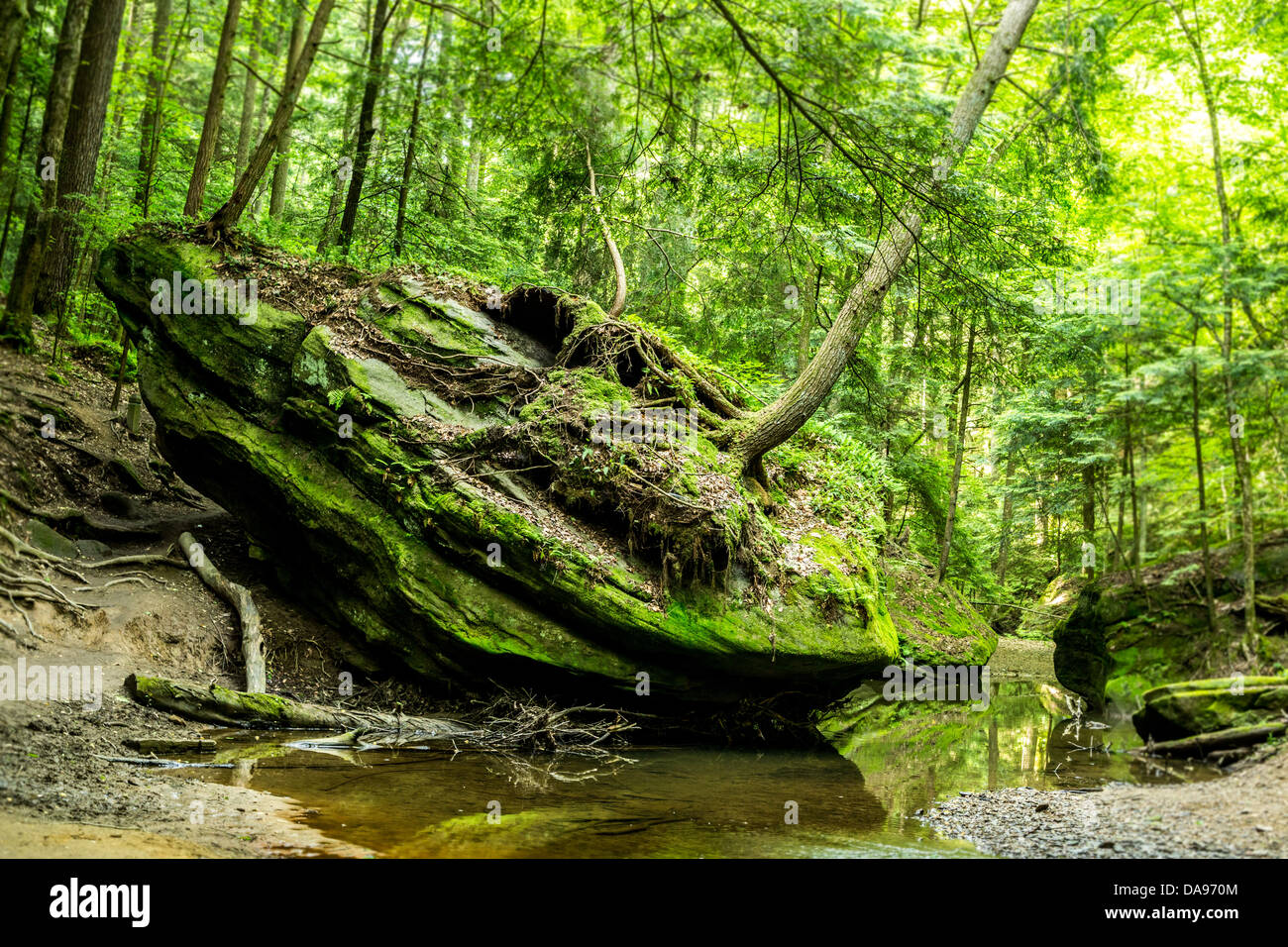 Old Man's Cave, Hocking HIlls State Park, Ohio Stock Photo - Alamy
