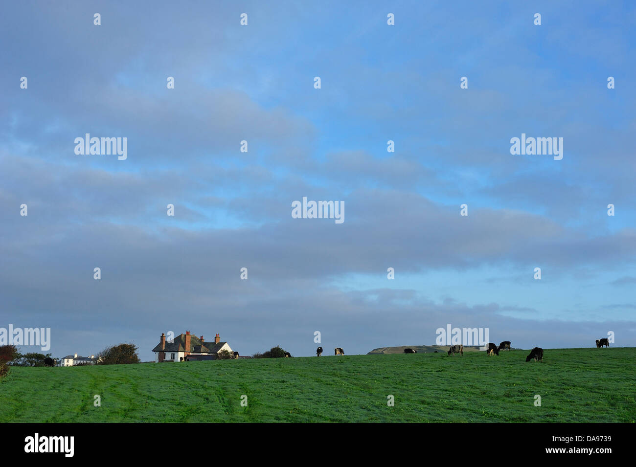 Eu farms hi-res stock photography and images - Alamy