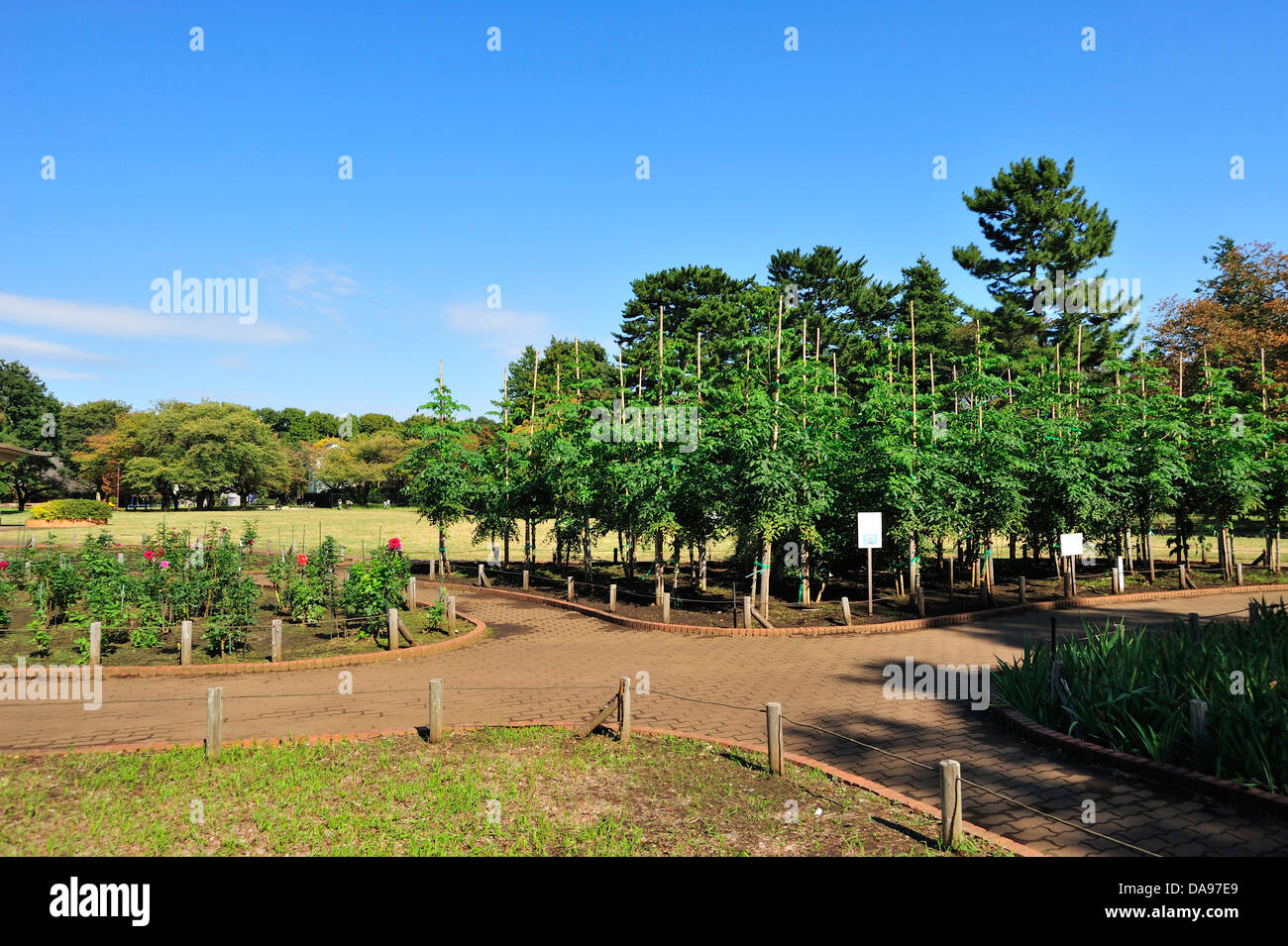 Edo tokyo open air architectural museum hi-res stock photography and ...