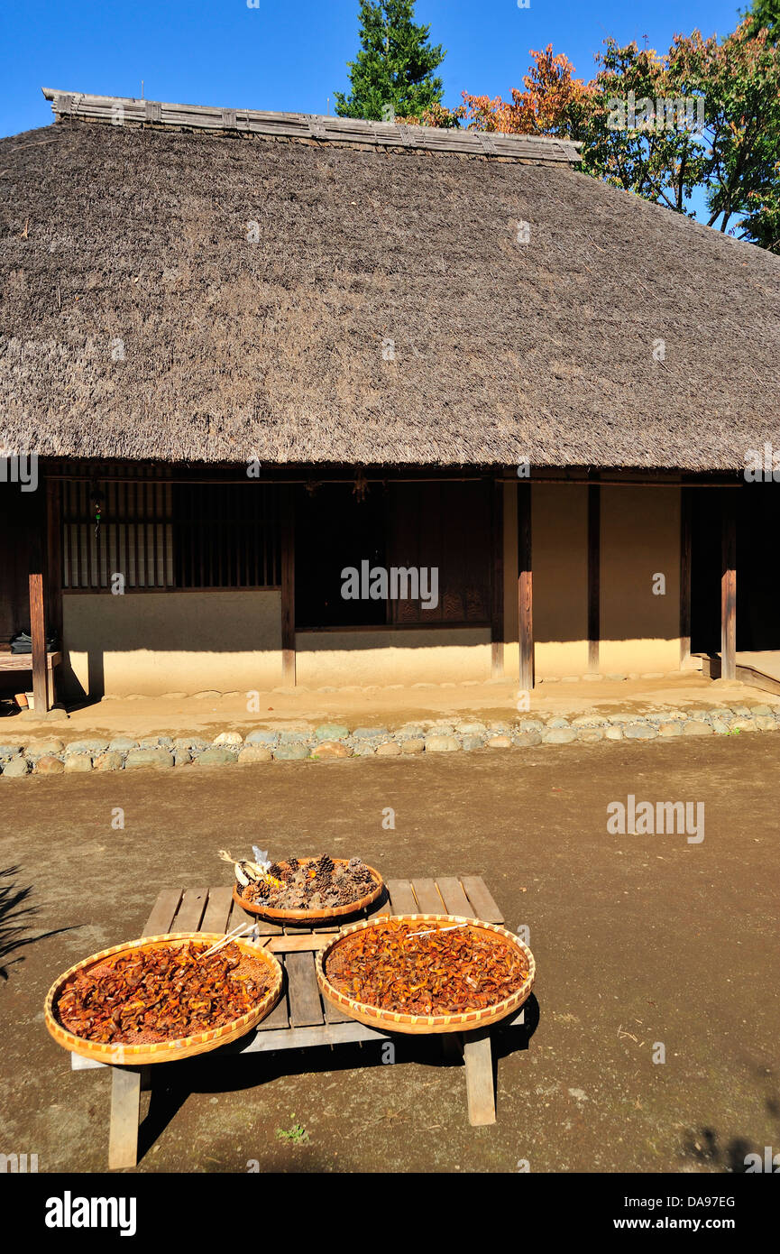 Edo architecture hi-res stock photography and images - Alamy