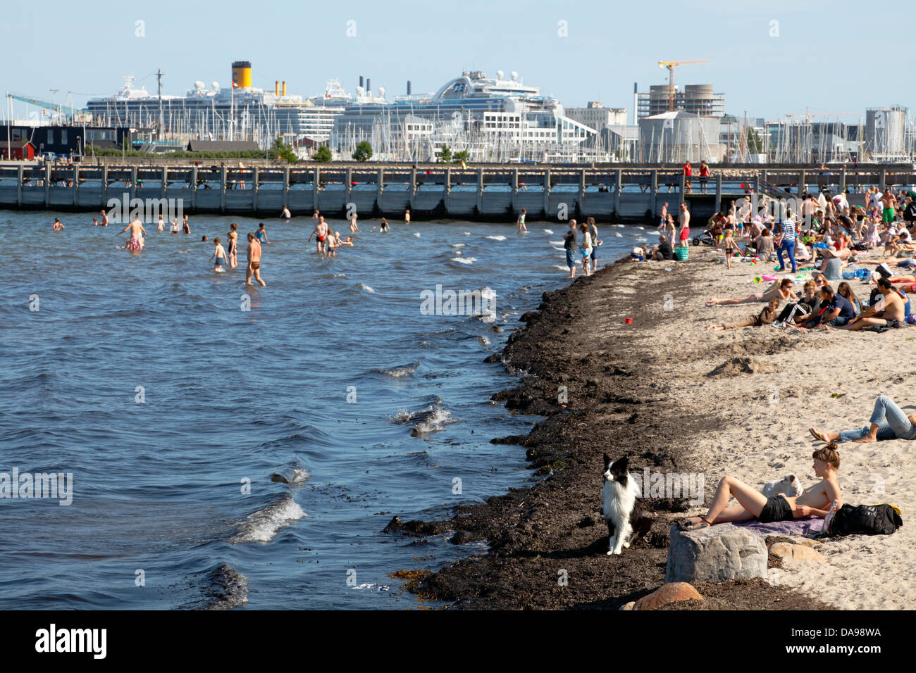 Svanemolle beach hi-res stock photography and images - Alamy