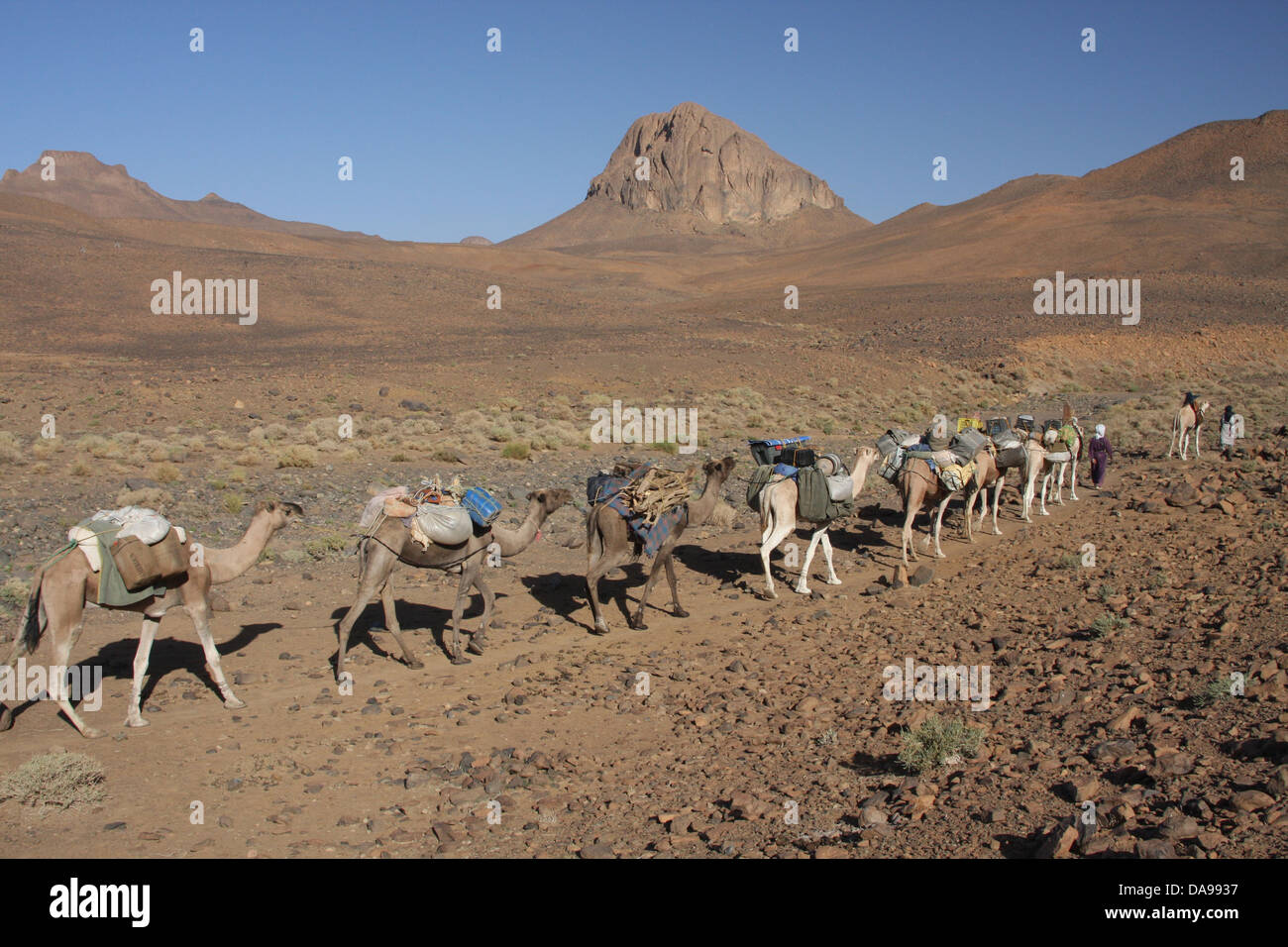 Algeria, Africa, north Africa, desert, stone desert, rocky desert ...