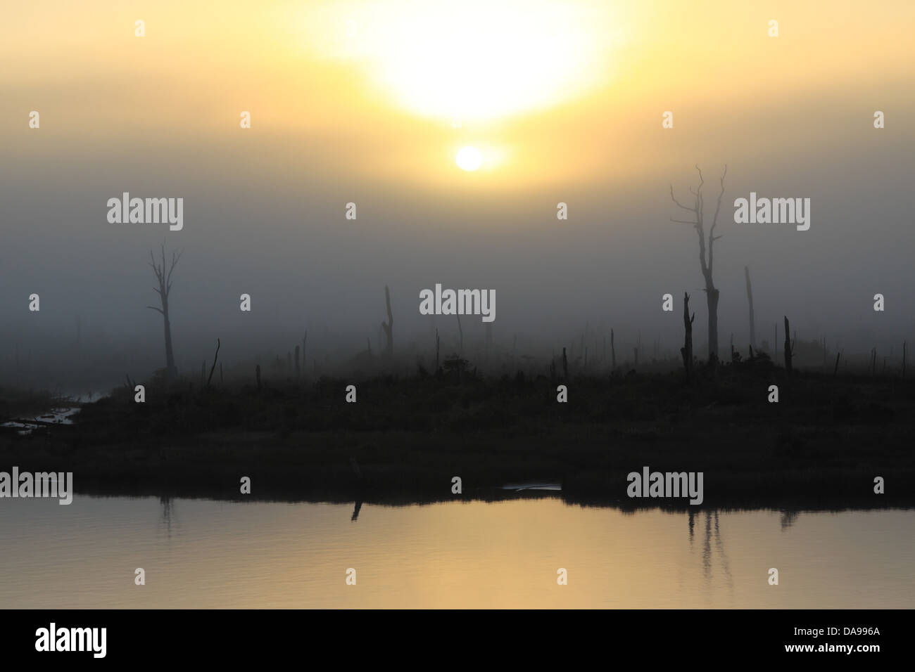 Chepu river chile hi-res stock photography and images - Alamy